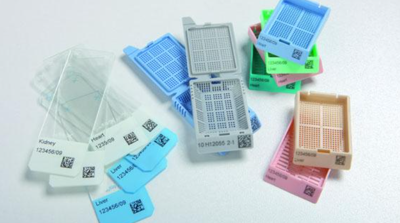 Histology Educational Series – Part 1: Slide Labeling | Rankin Biomedical