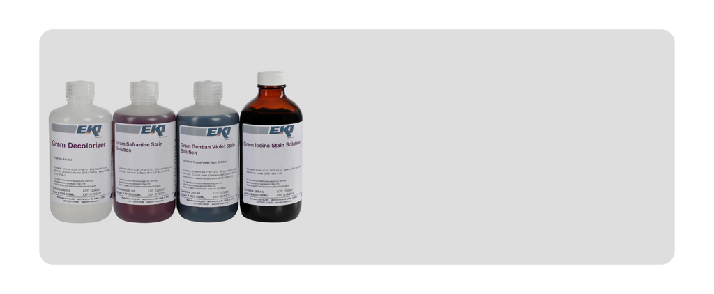 Staining Kits | Rankin Biomedical